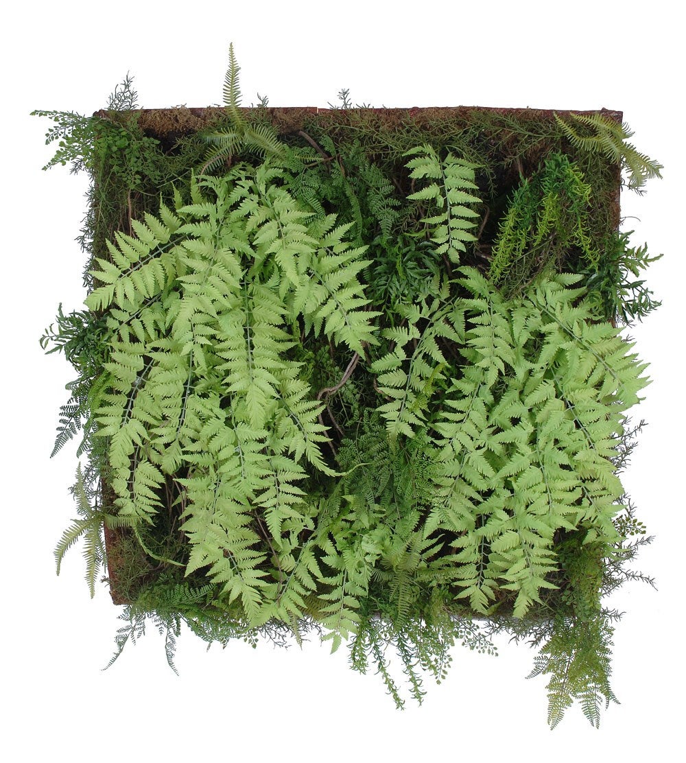 Shop - Gold Eagle USA