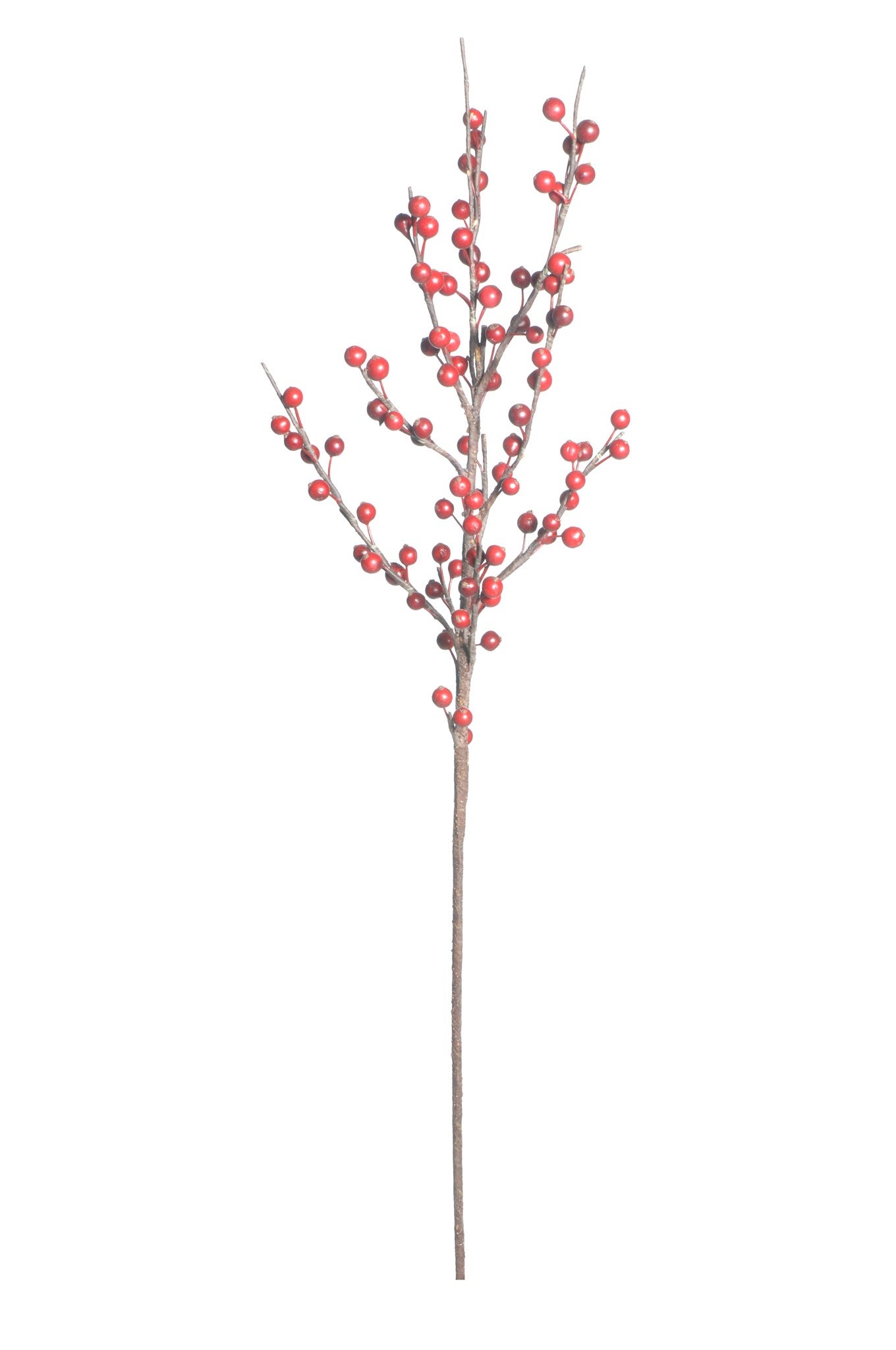 Shop - Gold Eagle USA